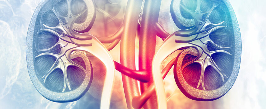 Comprehensive Kidney Care | Continuum| Ascend Clinical